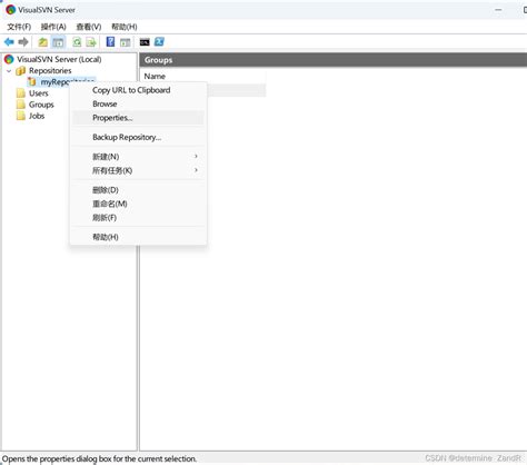 【svn】windows Svn安装使用教程（服务器434版本客户端1110版本） Lizhigang 博客园