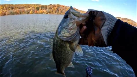 Post Cold Front Fall Bass Fishing 102424 Youtube