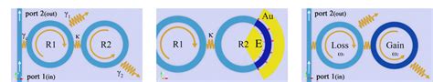 A Schematic Diagram Of Double Ring Resonator With Ln B The
