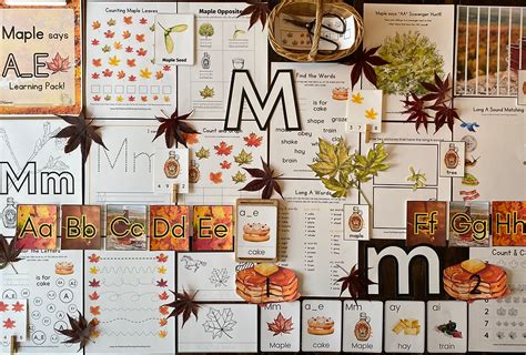 Maple Says A E Learning Pack Ftl Of Homeschooling