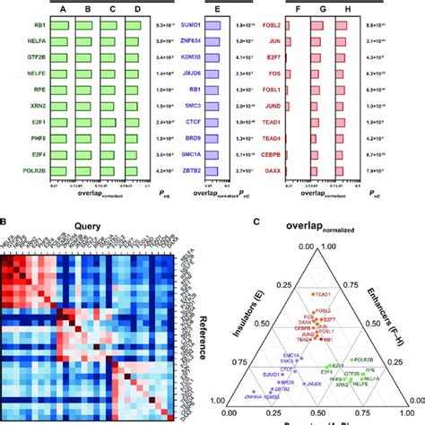 Co Localization Of Chromatin Associated Proteins In Rb Binding Sites