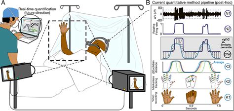 Intraoperative System And Post Hoc Data Processing Pipeline A Download Scientific Diagram