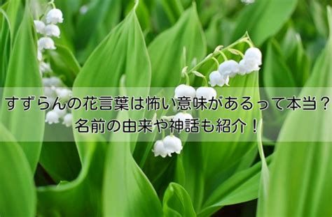 すずらんの花言葉は怖い意味があるって本当？名前の由来や神話も紹介！ ｜ イチケンナビゲートブログ