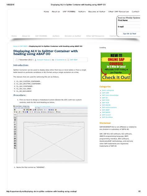 displaying alv in splitter container with heading using abap oo pdf