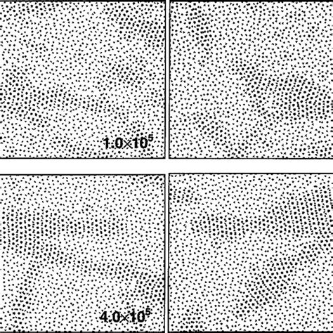 Temporal Evolution Of Colloidal Array From Fig 5 Colloidal Md