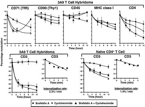 On The Dynamics Of Tcrcd3 Complex Cell Surface Expression And