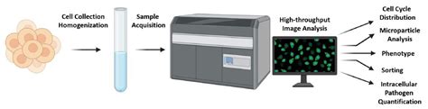 Methods And Protocols Mdpi On Linkedin Free Methods Protocols