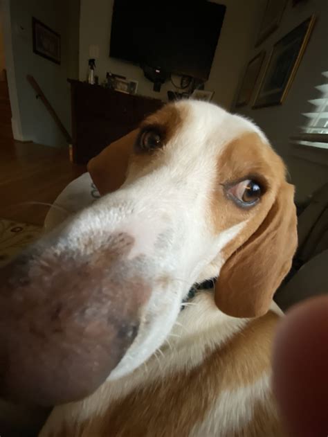 Create A Midnight Ts Tier List Tiermaker