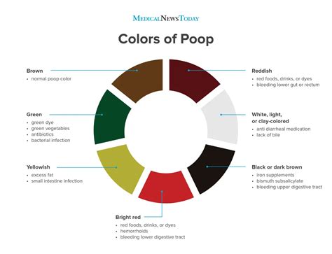 Green Stool Causes Of Stool Discoloration Healthy Food Near Me