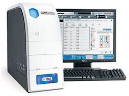 MILLIPLEX Multiplex Assays Using Luminex Life Science Research Merck