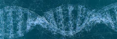 Developmental Disorder Variants Found In Non Coding Genome Genomics