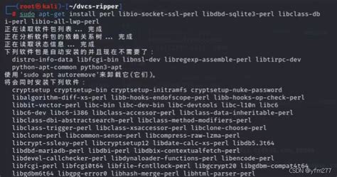 dvcs ripper的安装 kali CSDN博客