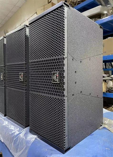 Aclon Dual 12 Inch PRO Audio Professional Line Array Speaker Subwoofer
