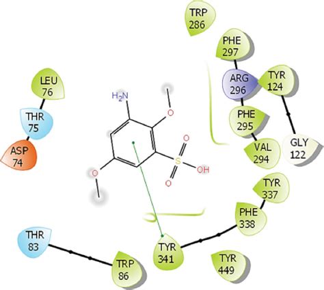 Searching For Potential Acetylcholinesterase Inhibitors A Combined Approach Of Multi Step