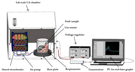 In Situ Measurement Of Fresh Produce Respiration Using A Modular Sensor Based System