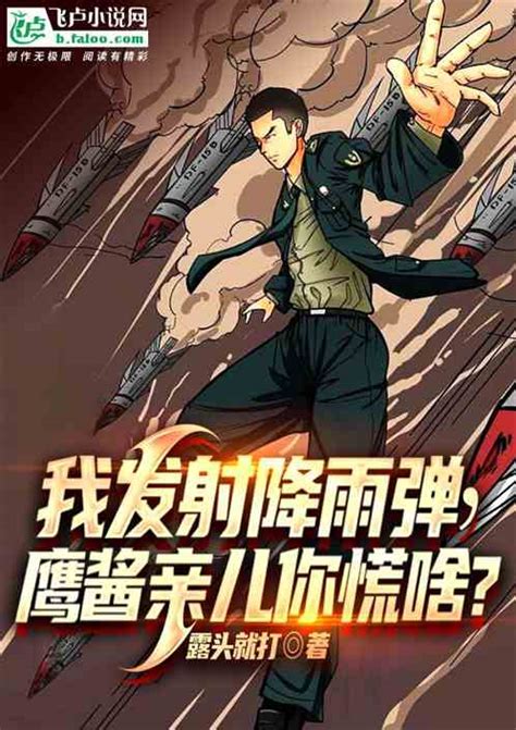 我发射降雨弹，鹰酱亲儿你慌啥？露头就打小说全本小说下载飞卢小说网