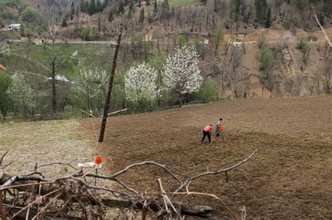 მაღალმთიან აჭარაში მცხოვრები ქალების ფოტო პორტრეტები N I M D ნათია აბულაძე 35 წლის ხულო