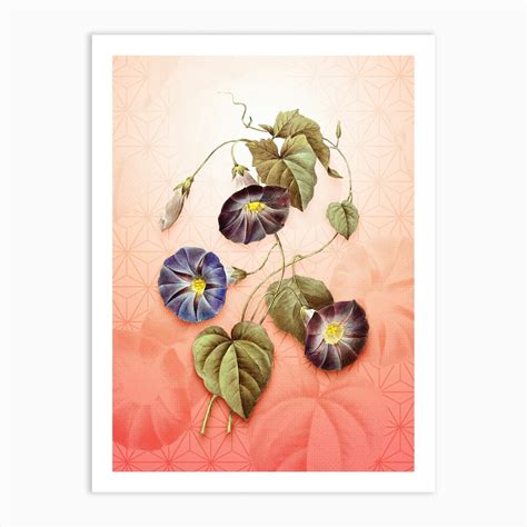 Morning Glory Vintage Botanical In Peach Fuzz Asanoha Star Pattern N