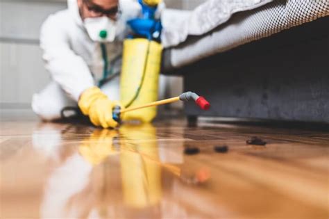 大阪のゴキブリ駆除業者おすすめ9選【2025】対処法や効果についても解説！ ボイスノートマガジン