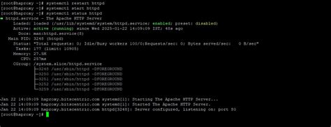 How To Install And Configure Haproxy On Rhel Bitscentric