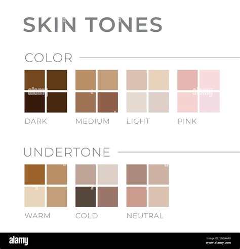 Skin Tones With Undertone Warm Cold Neutral Skin Colors Stock Vector