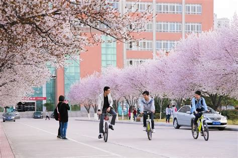 后勤管理处（后勤服务集团） 宝鸡文理学院
