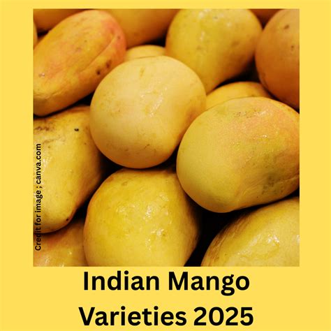 Indian Mango Varieties 2025 इस साल लोकप्रिय आम कौन से हैं