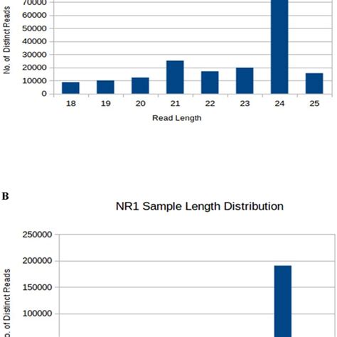 Size Distribution Of Small Rna Sequences Sequence Reads And Unique