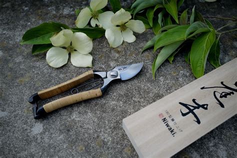 T Guide For Gardeners What To Buy Your Green Fingered Friends And