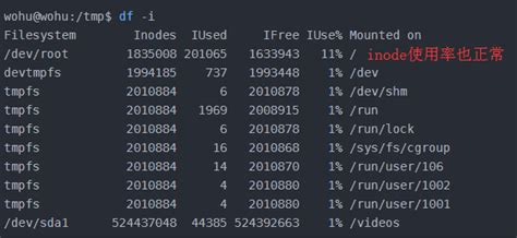 Linux Df H 显示磁盘空间满，但实际未占用满——问题分析 陪你短发到~长裙落地~ 博客园