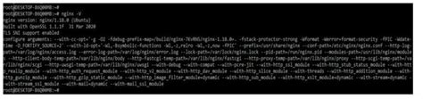 Nginx Errorpage How To Configure Nginx Errorpage