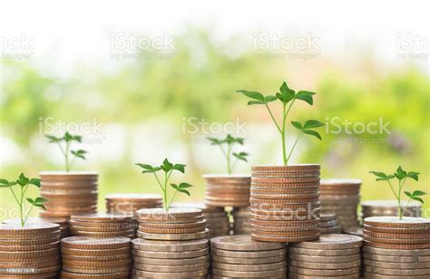 2021 년 개념을 절약 할 계획입니다 녹색 흐림 배경에 나무와 동전 돈을 스택 0명에 대한 스톡 사진 및 기타 이미지 0명
