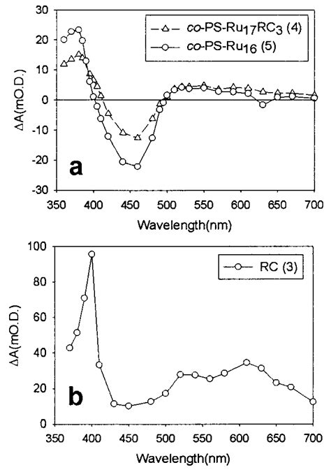 Transient Absorbance Difference Spectra For A Homopolymer Cops Ch