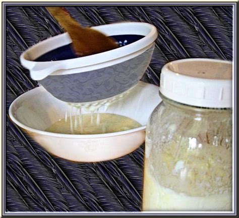 Купете онлайн Кефирена гъба Тибетска млечна гъба Bilkibg