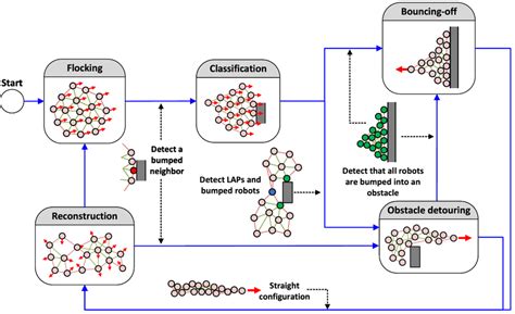 A Phase Transition Diagram Of A Group According To The Status Of A