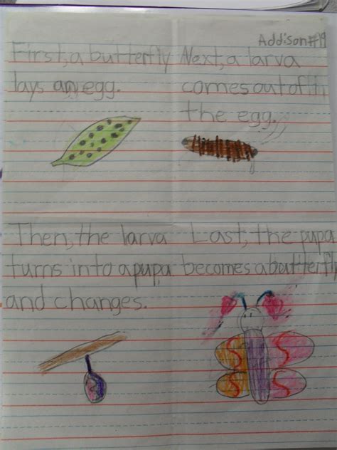 Sequencing The Lemonade Stand