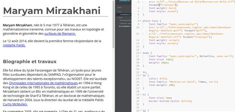 créer des sélecteurs css et contrôler la typographie { my logbook }
