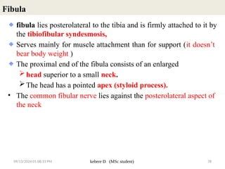 Skeletal System Types Of Joints 1pptx