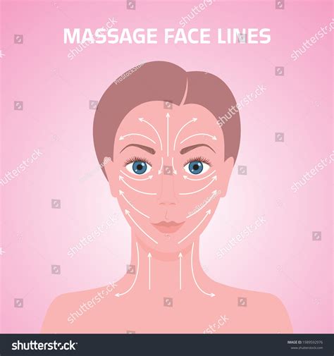 Massage Lines On Womans Face Beauty Stock Vector Royalty Free