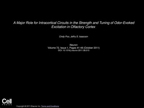 A Major Role For Intracortical Circuits In The Strength And Tuning Of