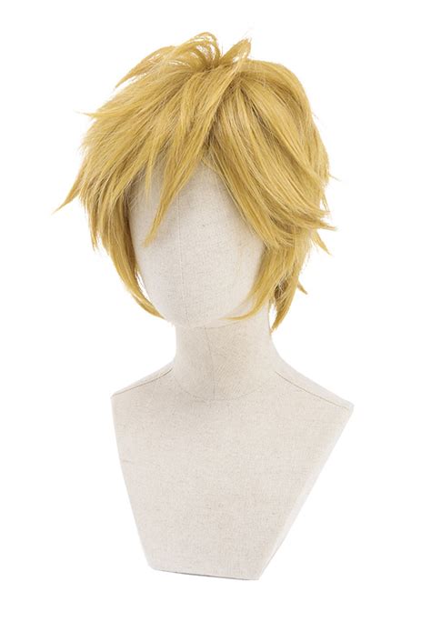 The Legend Of Zelda Link Cosplay Wig For Sale