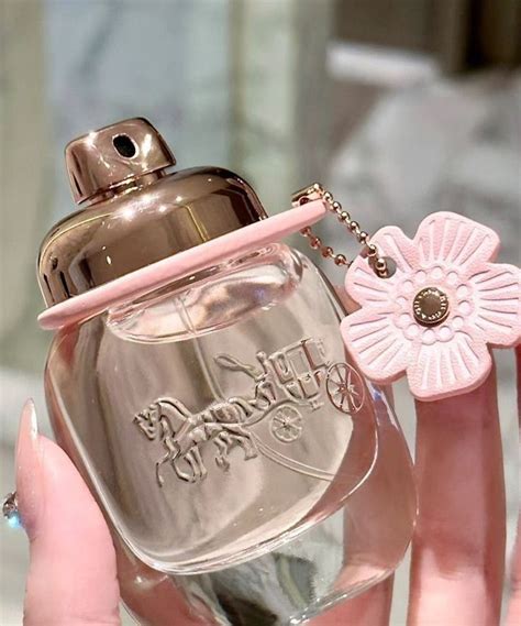 Pin By Jadtasti On Perfumes Fragances Perfume Lover Fragrances