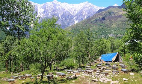 Book Manali Weekend Getaway Tour Packages Manali Sightseeing