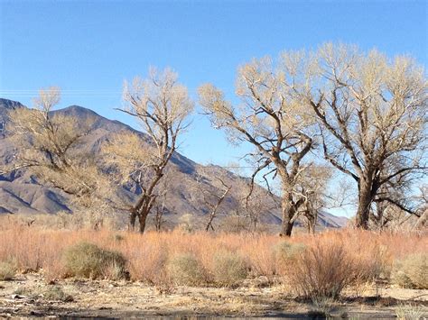 Elevation Of Olancha Ca Usa Topographic Map Altitude Map