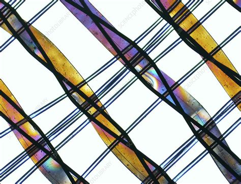 Synthetic Fibre Light Micrograph Stock Image C0114604 Science