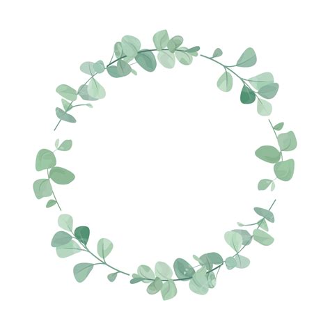 Marco De Hojas De Eucalipto Dispuestas En Círculo Vector Png Dibujos