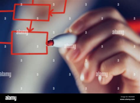 Businesswoman Drawing Decision Tree Algorithm For Business Analysis