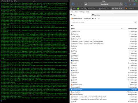 Ability To Customize Retrolab Interface Issue Jupyterlab