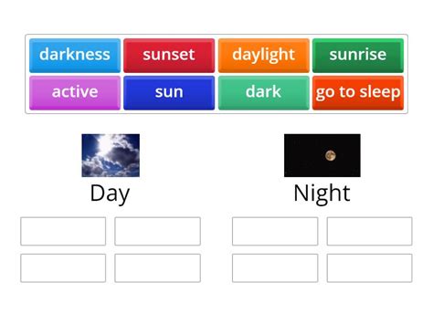 Classify The Words Group Sort