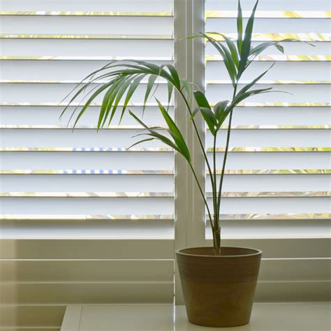 Café Style Shutters Shutter Up Your Place West Yorkshire